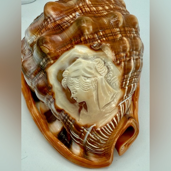 Accessories | Vintage Cameo Hand Carved Relief Conch Shell Pink ...